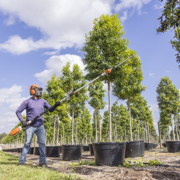 STIHL HLA 86 Battery Powered extended-reach Hedge Trimmer - Wagoner Power