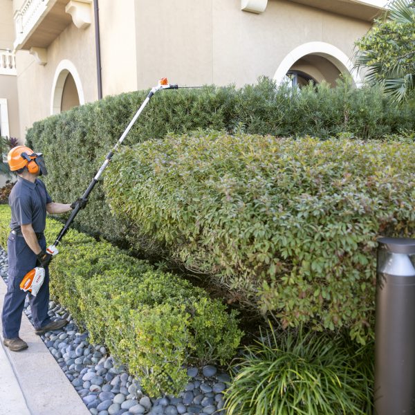 STIHL HLA 86 Battery Powered extended-reach Hedge Trimmer - Wagoner Power