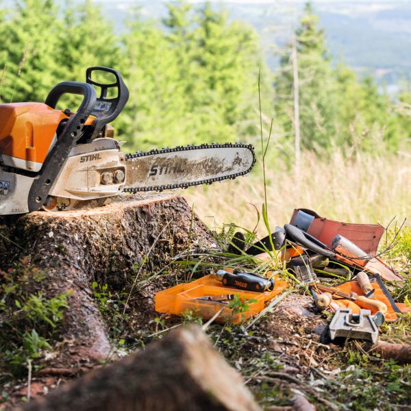 STIHL MS 362 Gasoline Chainsaw - Wagoner Power