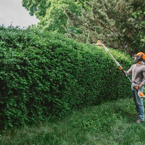 STIHL HLA 56 Battery Powered extended-reach Hedge Trimmer - Wagoner Power