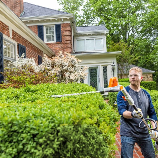 STIHL HLA 56 Battery Powered extended-reach Hedge Trimmer - Wagoner Power